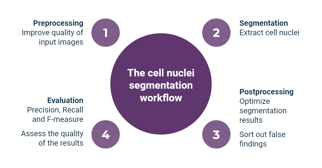 Our Guide to Effective Nuclei Segmentation