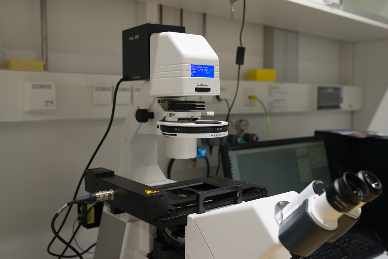 Colocalization Microscopy And Analysis Basics